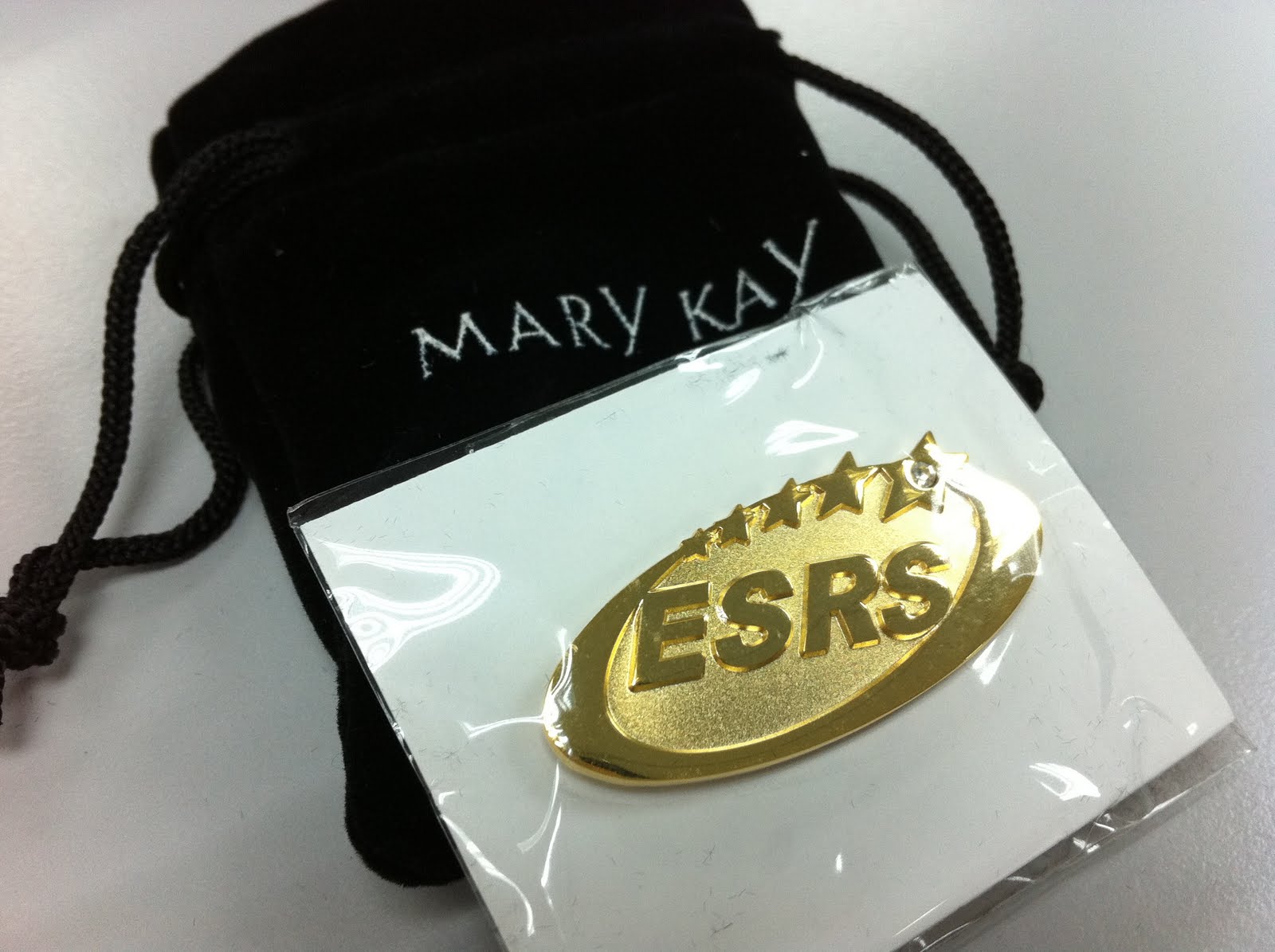 Mary Kay ESRS Training - Won best goal poster! yeah! - Christina Foo