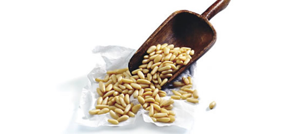 Sabor Básico: Pinhão e sua história - Post I de II