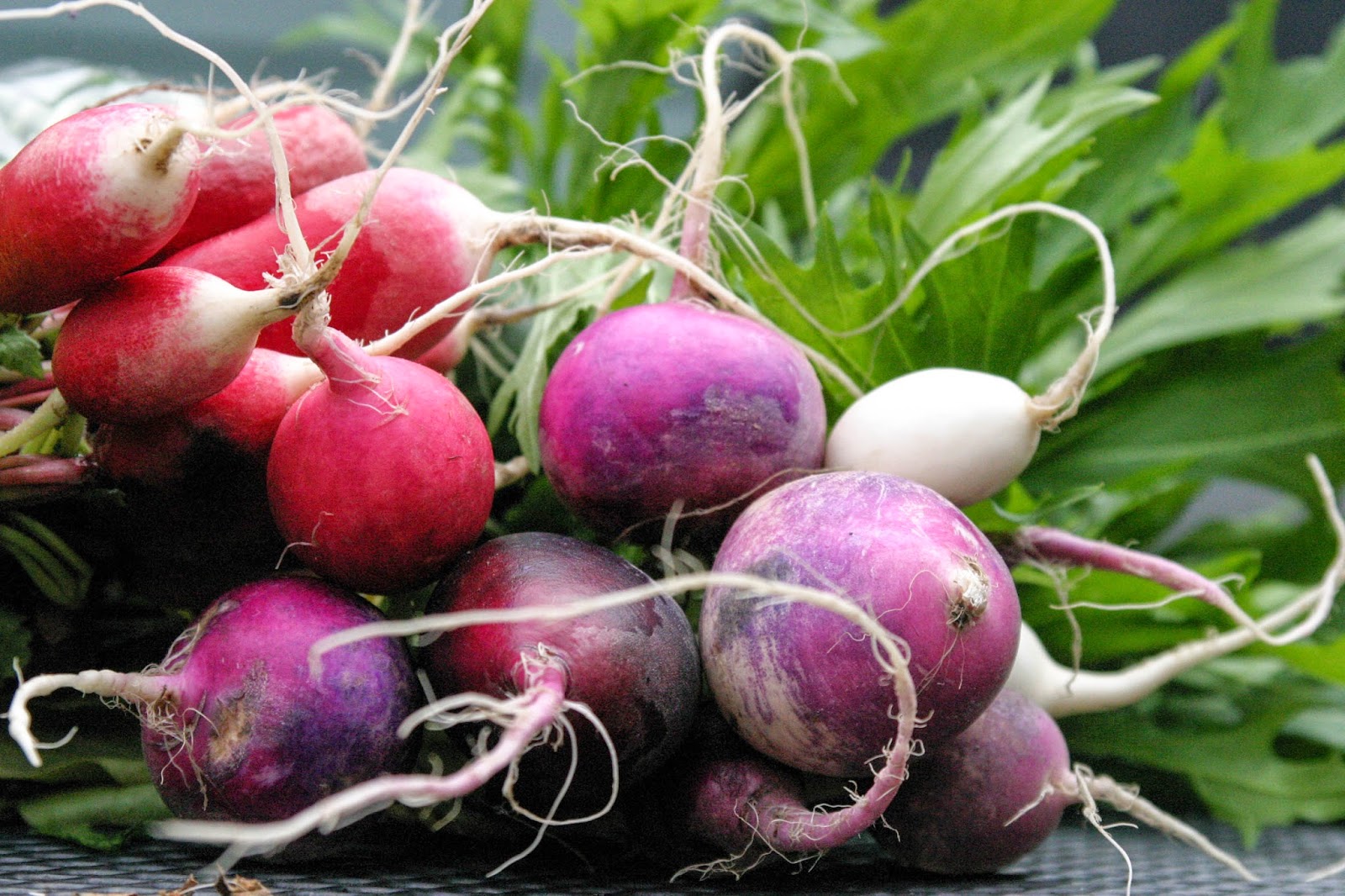 Warm Honey Citrus Roasted Radish Salad