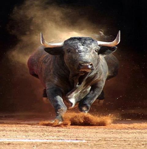 Davila Fotos Blogs: REFLEXIONES: El drama del toro...