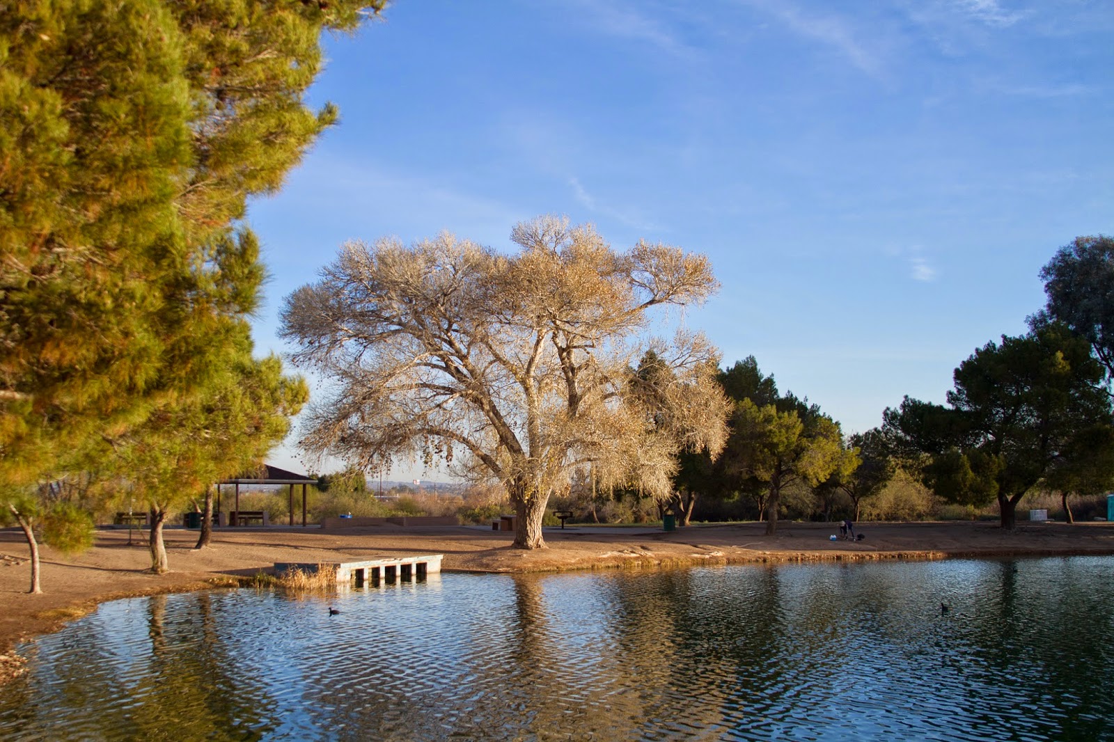 Sonoran Connection: Silverbell Lake Tucson, Arizona