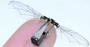 Conservablogger: TECH WATCH - MICRO 'mosquito' DRONES CAN SPY ON YOU