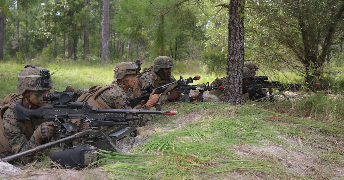 Guerreros de Élite: Tácticas de Infantería nº3