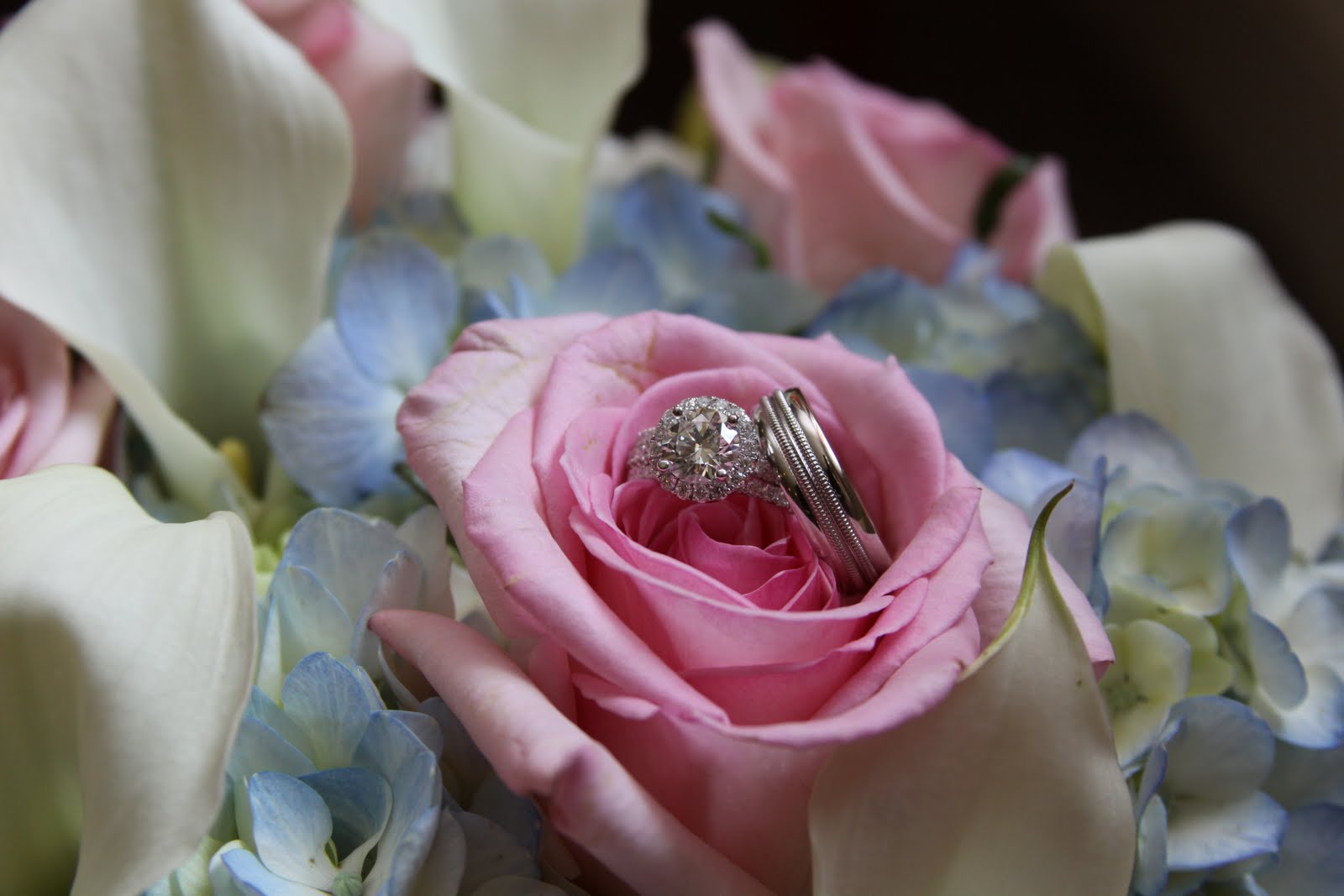 Becky Kusek Photography