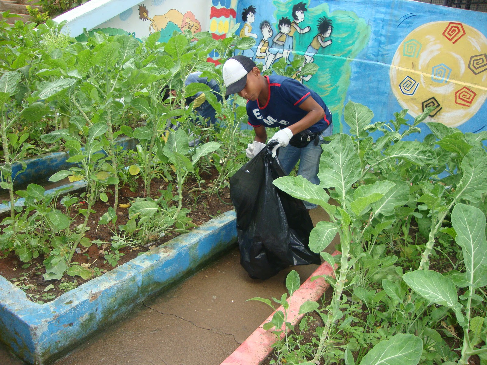 Isto é Paulo Freire: Escola limpa, ambiente saudável