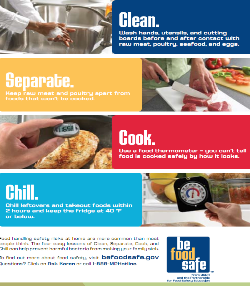 i Live 40: Day 65: Food Safety project