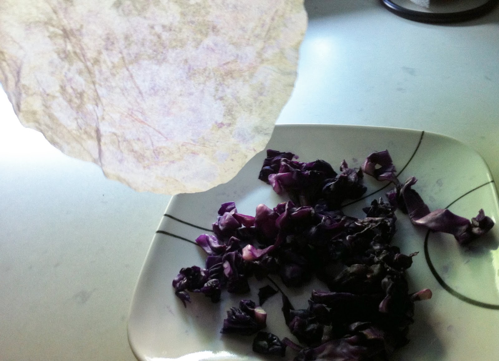 Space Matters: DIY: Cabbage Litmus Paper