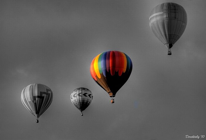 Fresh Pics: 50 Beautiful Examples of Selective Color Photography