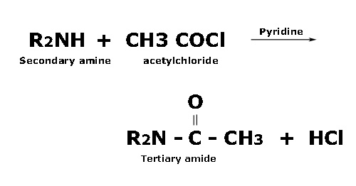 acylation of amines | Mastering Chemistry Help