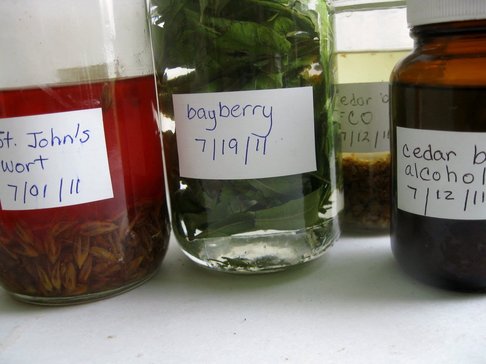 Olive and Oud: Shiso syrup; tincturing and infusing