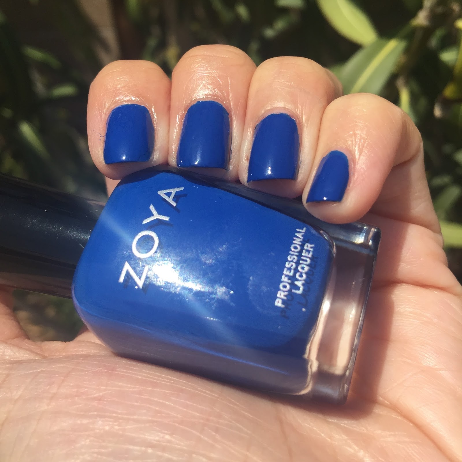 Zoya Fall 2015 Focus and Flair Collections Swatches, Video Review - The ...