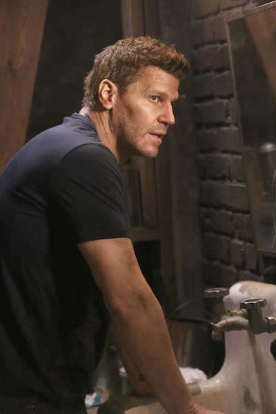 O Essencial é invisível aos olhos: Bones 11x02 "The Brother in the ...