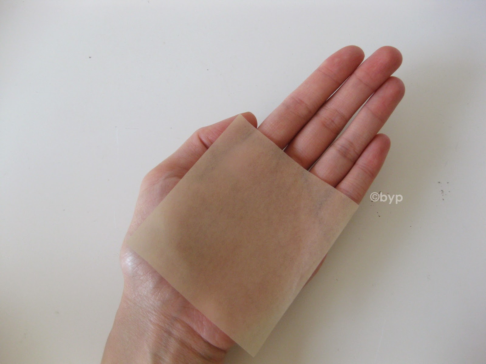 Adventures of a Bright Young Person: /Skin/ Daiso Oil Blotting Cosmetic ...