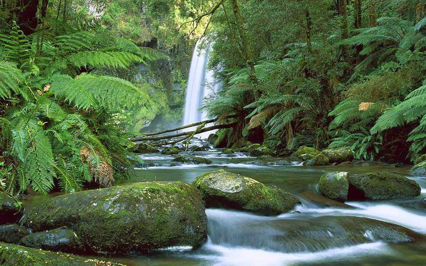 Tropical Rainforest Waterfalls | Wallpapers Gallery