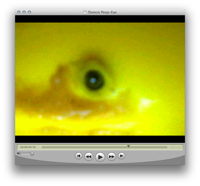 The Life of a Demoniac: VIDEO TIMELINE | Demonic Peep-Eye