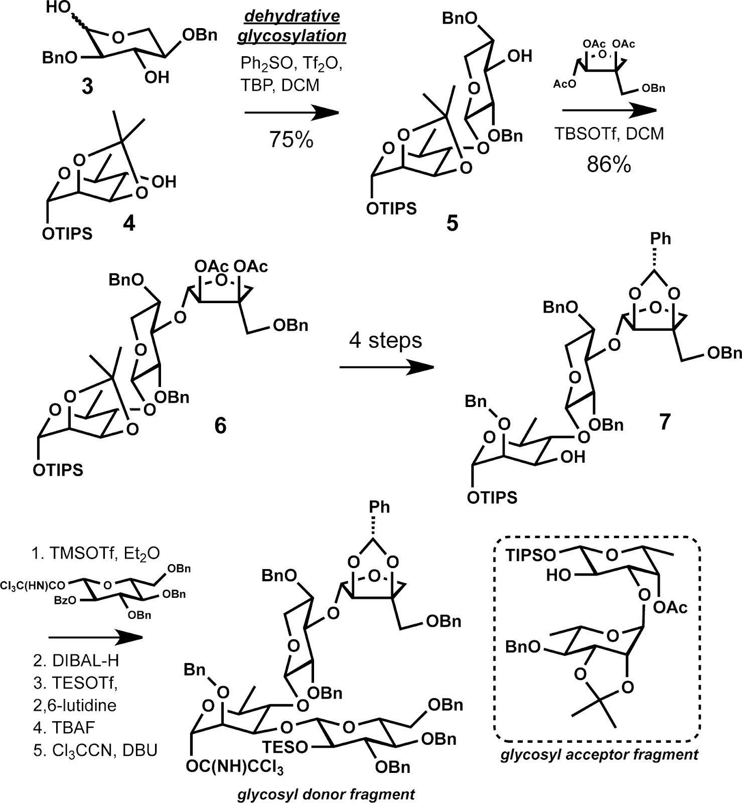 modern steroid science: Chemical Synthesis of the Immunostimulatory ...