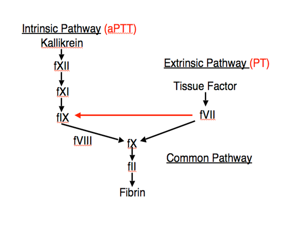 learn anesthesia and have fun: Coagulation Abnormalities Made Easy