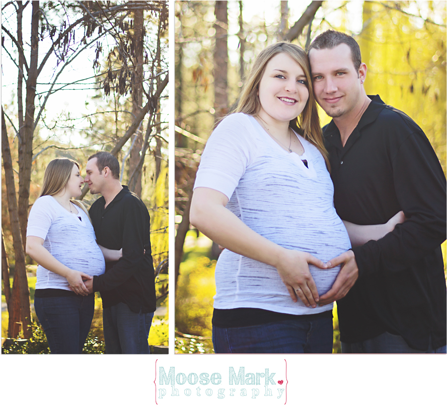 Moose Mark Photography