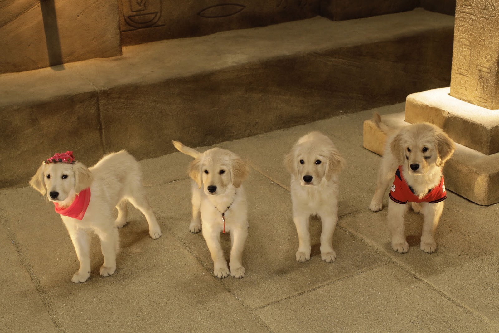 Axel Perez Blog: enero 2012