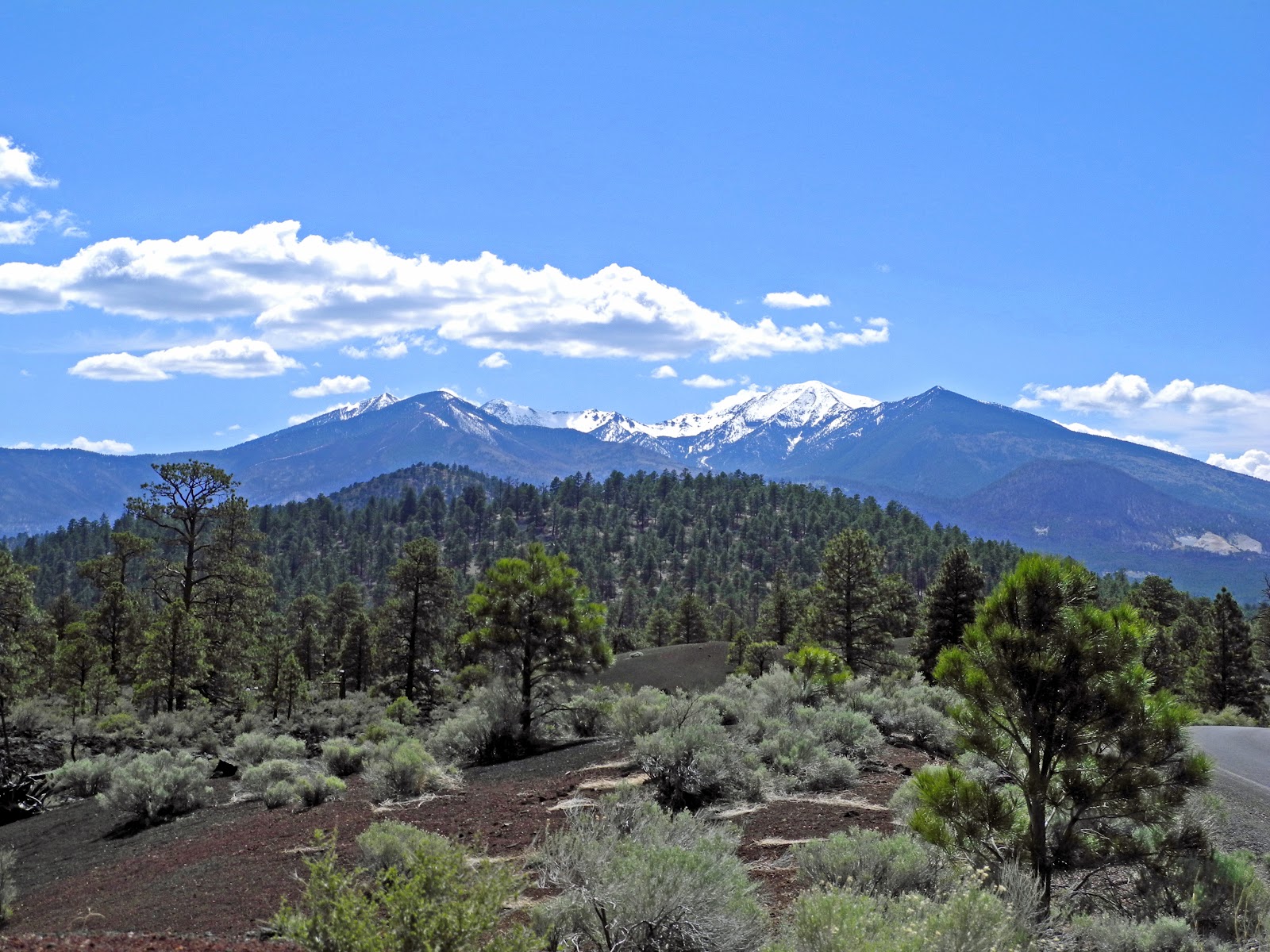 Written In Stone...seen through my lens: Hiking Mount Humphreys of the ...