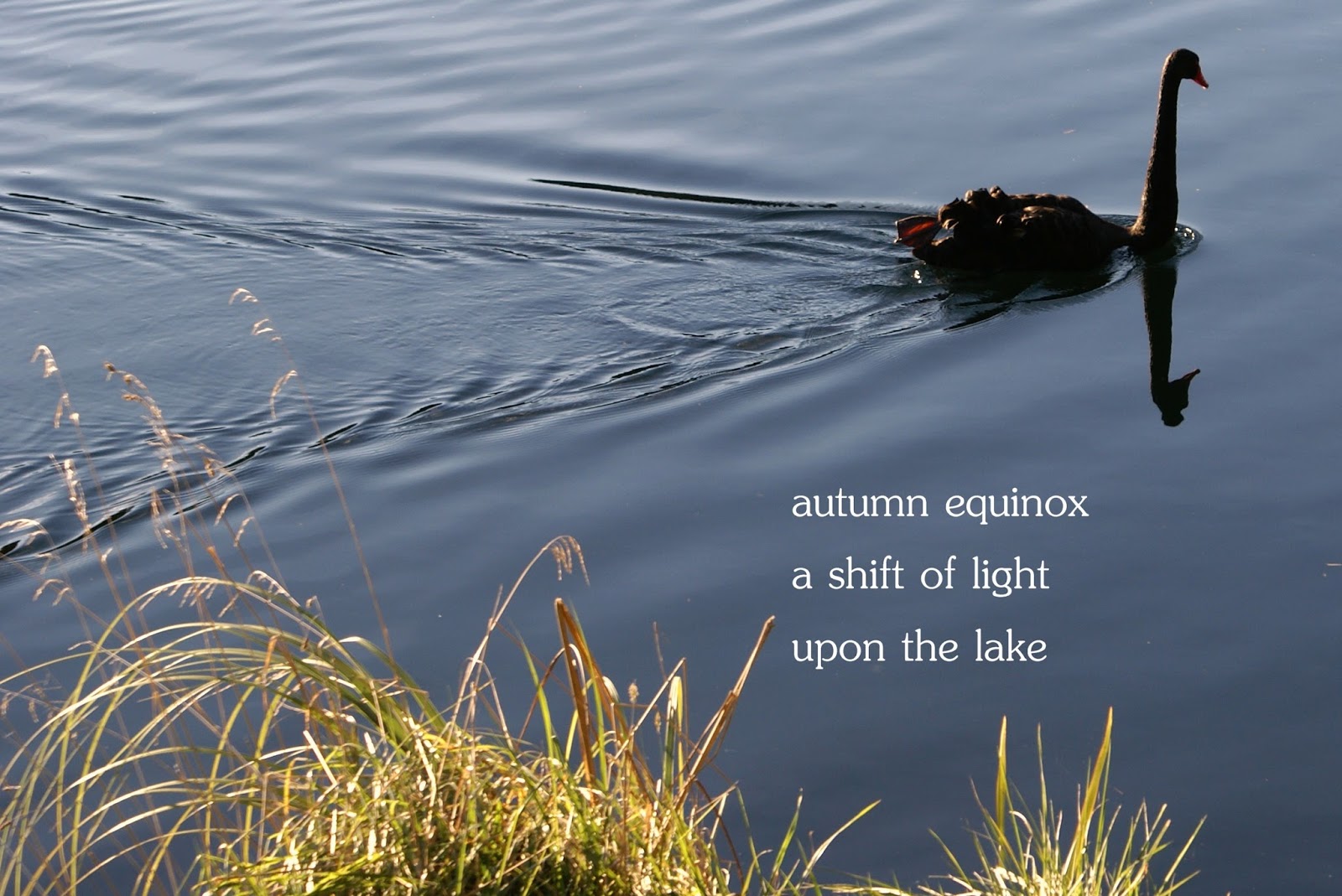Swimming in Lines of Haiku: Kirsten's 2013 Calendar of Haiku & Photography