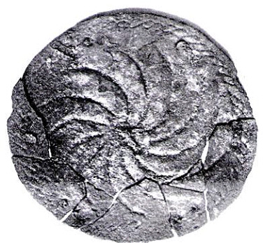 Ancient Black History: Thurstan Shaw, Igbo, Menes, Egypt, Flood Myths ...