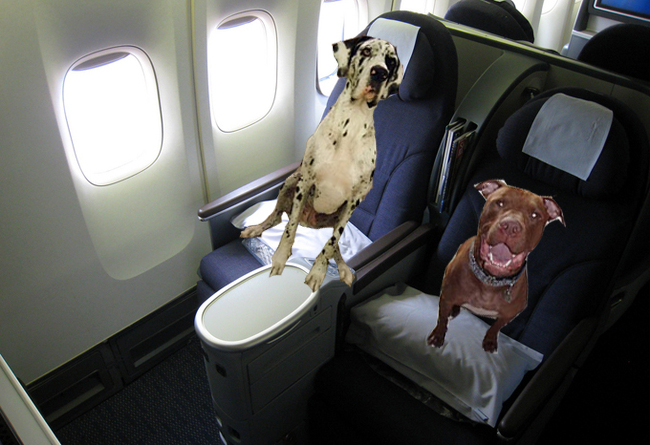 Tucker: Corbin and Tucker go to Vegas