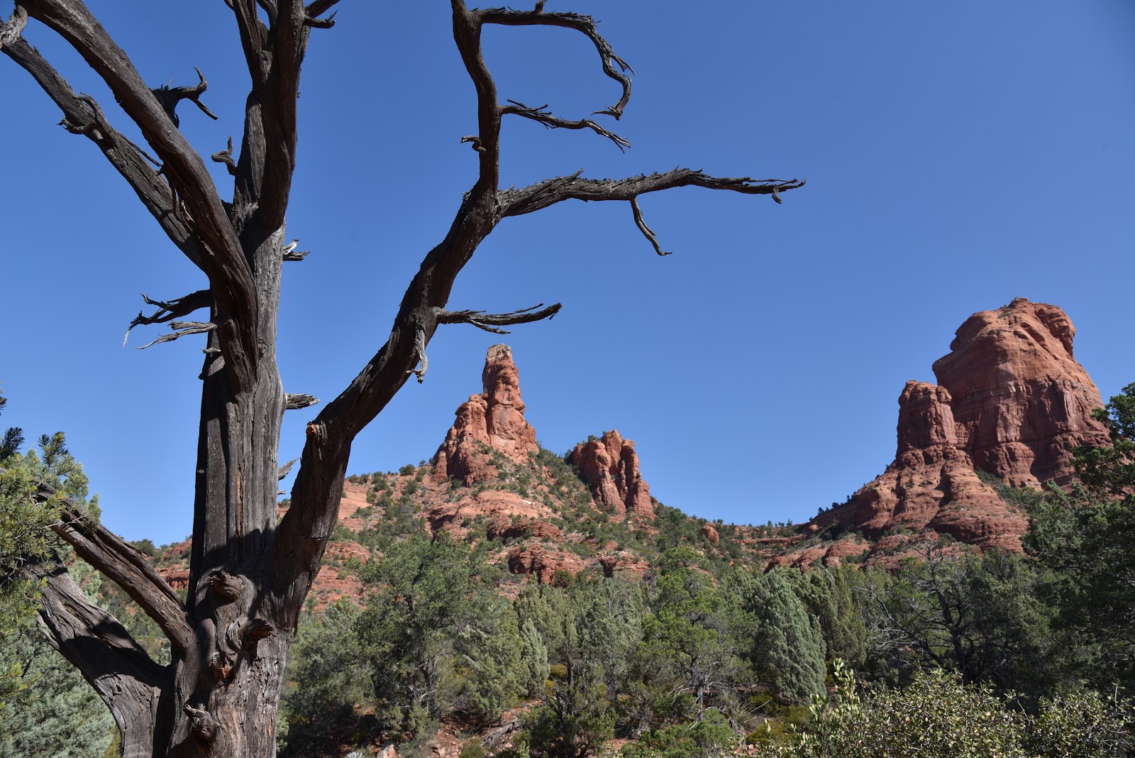 Arizona Hiking: ANT HILL LOOP