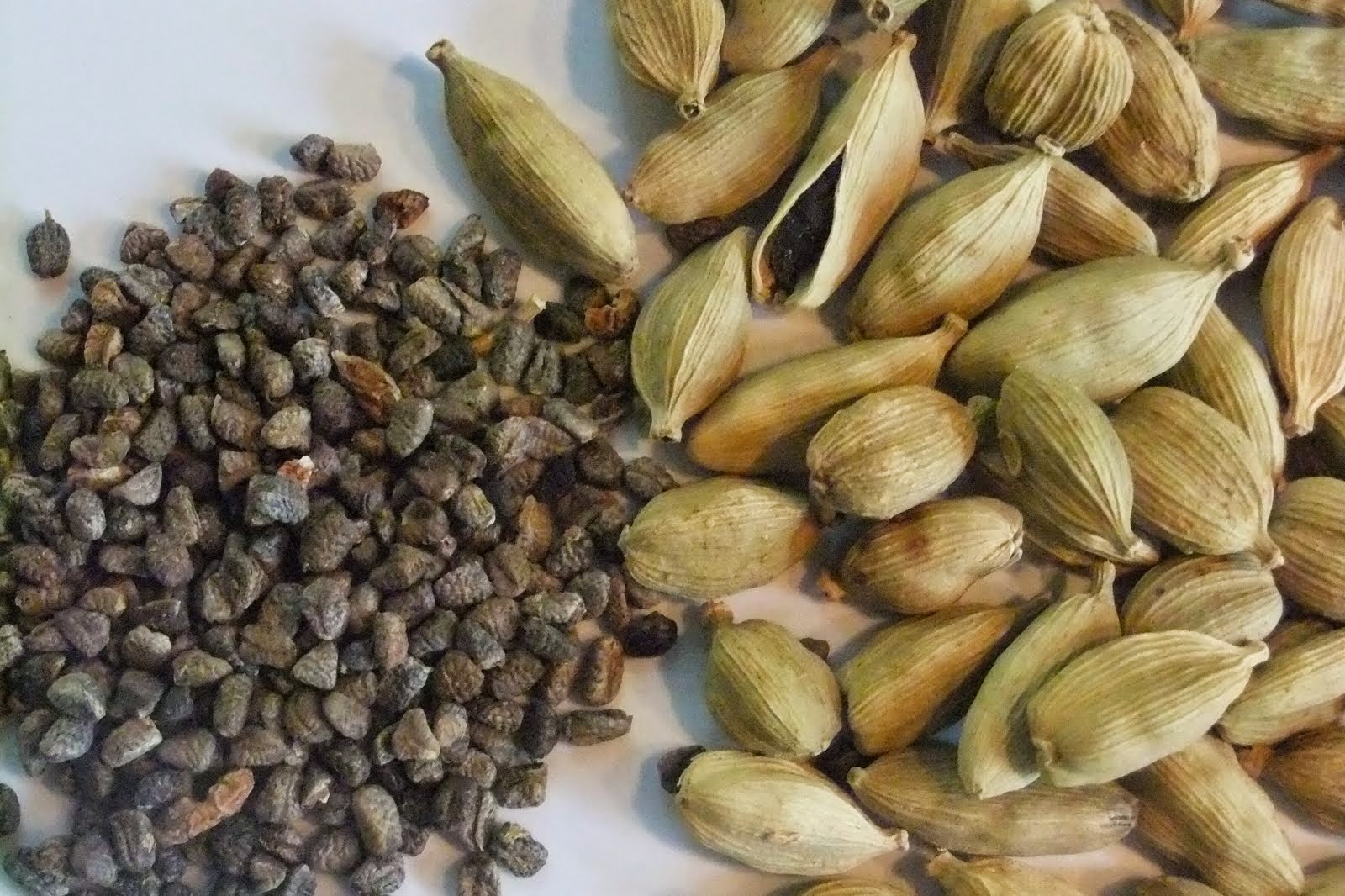 La cocina y ¿los animales..?: Experimentando con cardamomo.