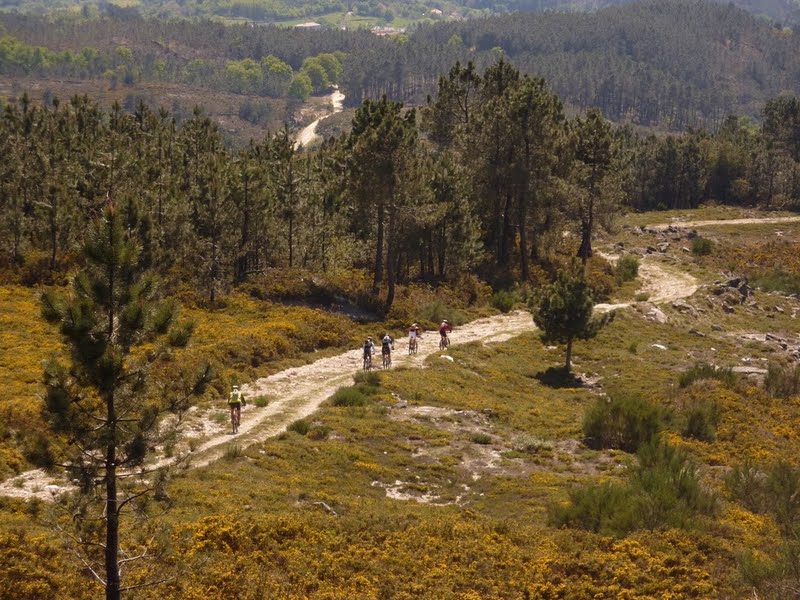 BiKeNaTuRaS: PELA CABREIRA À PROCURA DA NASCENTE DO RIO AVE...