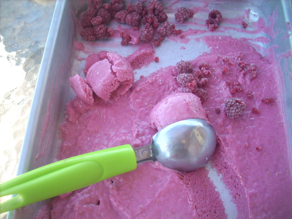 Canela kitchen (gloria): Raspberries and greek yougurt Ice cream