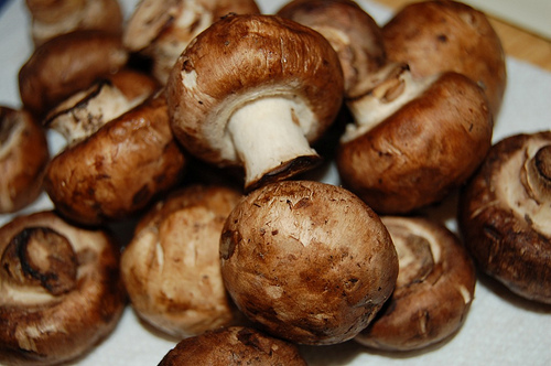 Behind the French Menu: Champignons on French Menus. The Champignon de ...