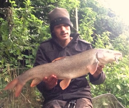 Medway Barbel 2013