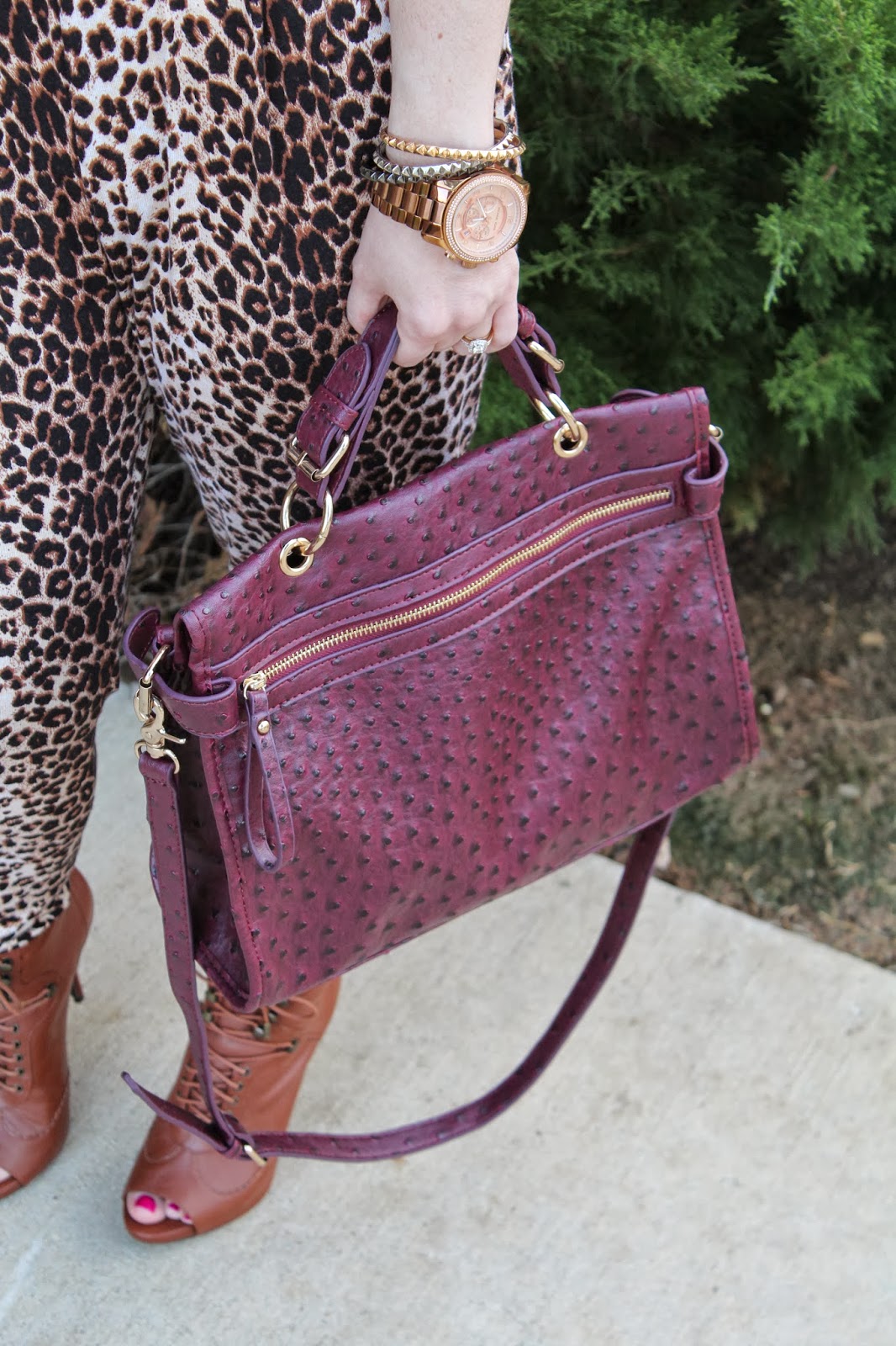 Piper Dixon: A LEOPARD TALE