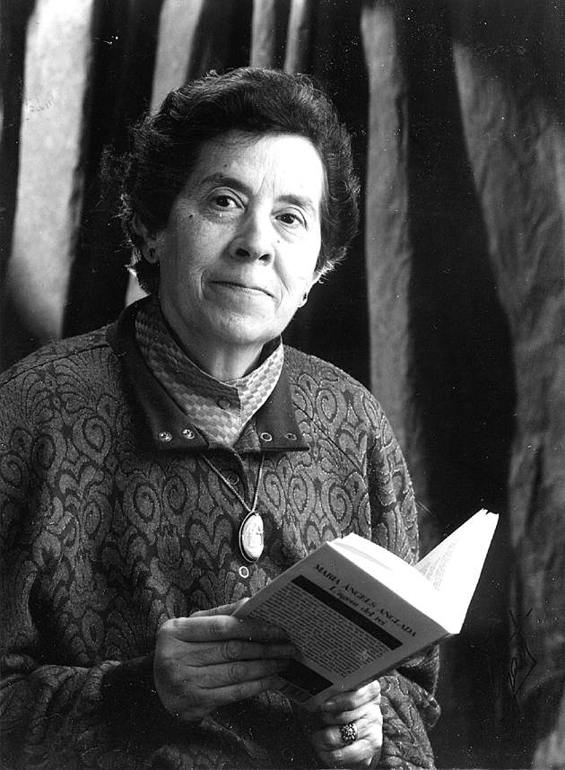 Biblioteca Camilo Castelo Branco VR: Maria Àngels Anglada | O violino ...