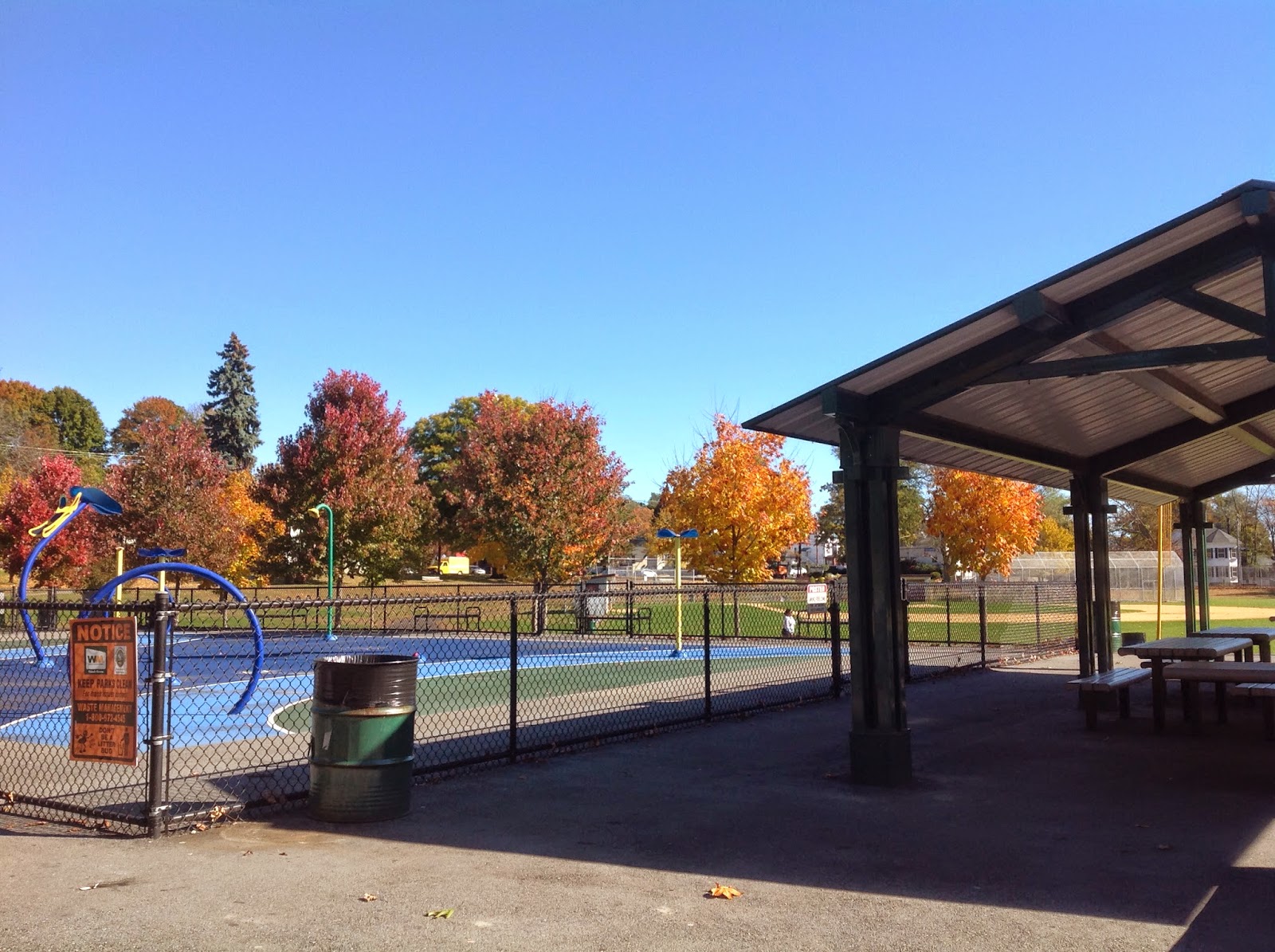 Life From The Roots: There Is A Lot to Like About Lowell -- Shedd Park ...