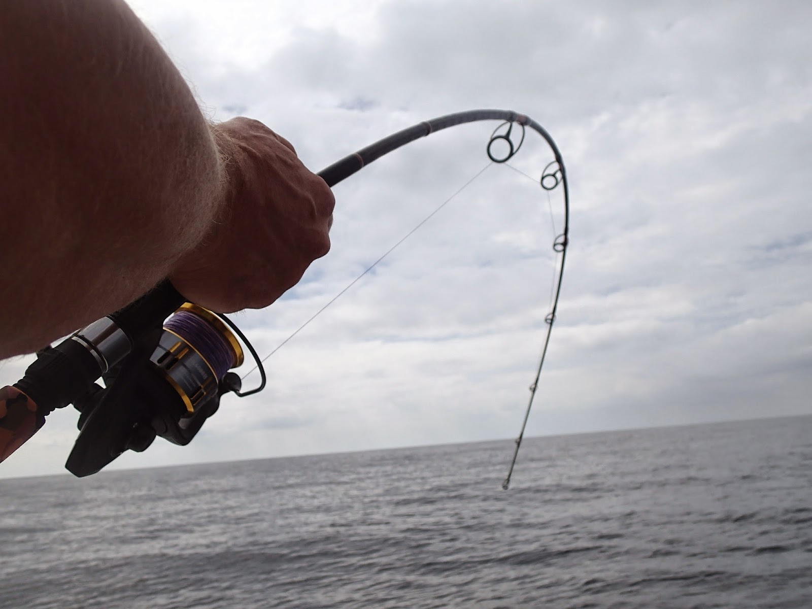 Masta'Fish guide pêche Bassin d 'Arcachon