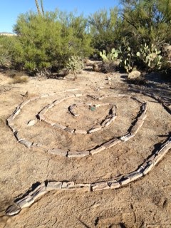 Tucson Wildlife Blog: Wylette et al