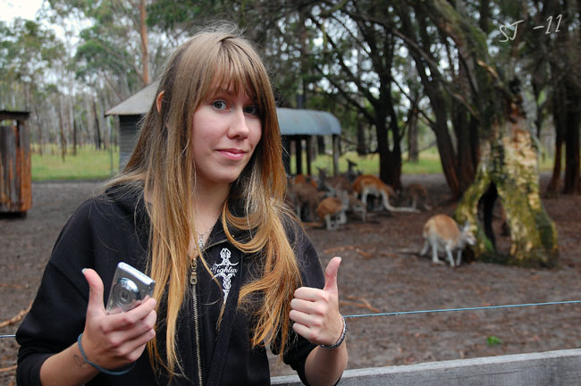 AyersRockBlog: Ahdistus kourallisessa tomua