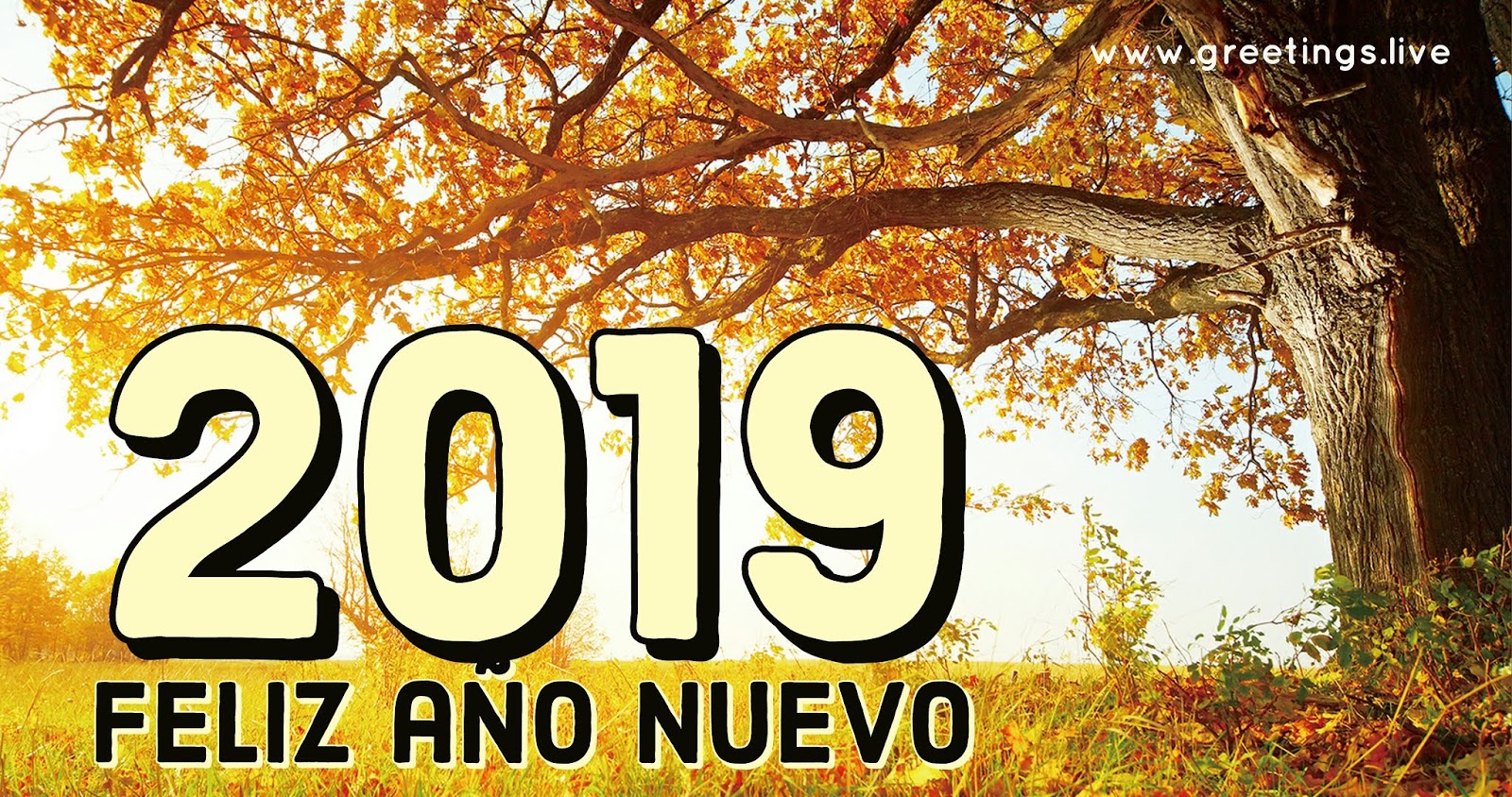 Greetings Live Free Daily Greetings Pictures Festival GIF Images 2019 Happy New Year In Spanish greetings-live-free-daily-greetings-pictures-festival-gif-images-2019-happy-new-year-in-spanish