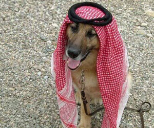 Are Dogs Halal? : The Puppy and the Prophet Muhammad