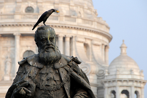 Baba Knucklehead: Ripon 'Dhansak' Club