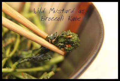 Wild Mustard as Broccoli Rabe
