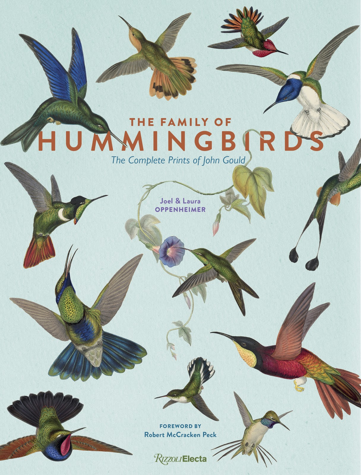 Color Outside the Lines: Book Review: Family of Hummingbirds - The ...