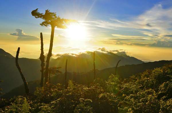 Mount Binaiya in the Central Maluku, Maluku - Indonesia
