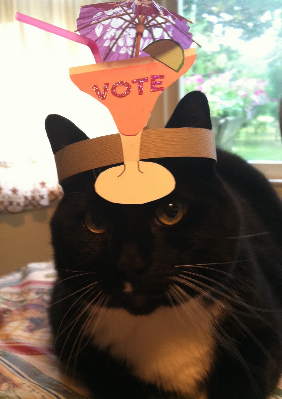 Catsparella: Charlie and Priscilla's Cat Hat Round-up & Last Day To Vote!