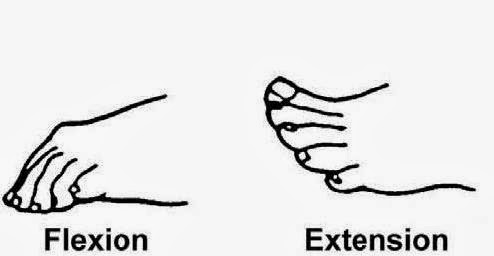 Biokinetic Golf Swing Theory: Secret in toes. Part 2.
