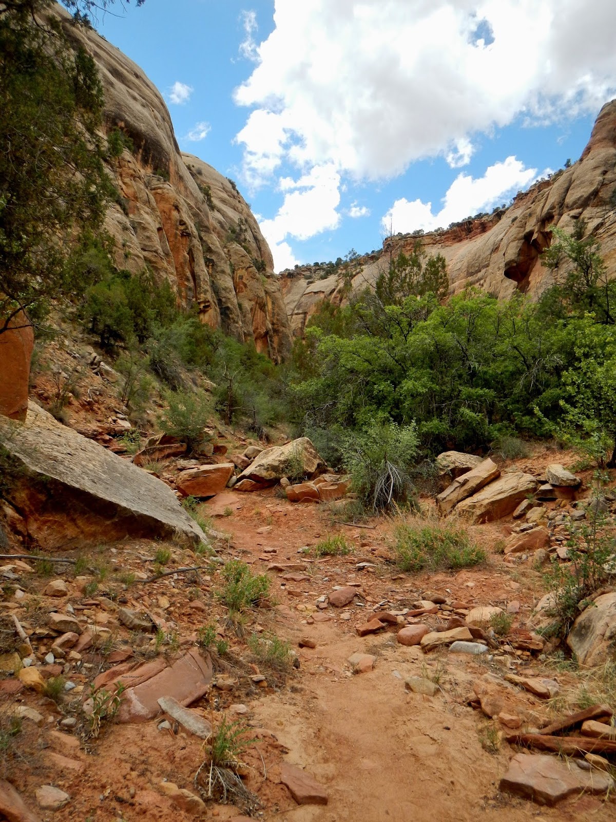 The Southwest Through Wide Brown Eyes: Hiking Around Shay Canyon - Part One