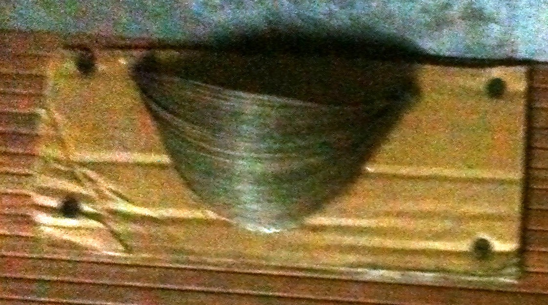 Swiftlet Farming: Million Dollars A Year Income Potential.: Test Run On ...