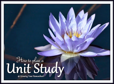 Growing Your Homeschool: Creating a Unit Study